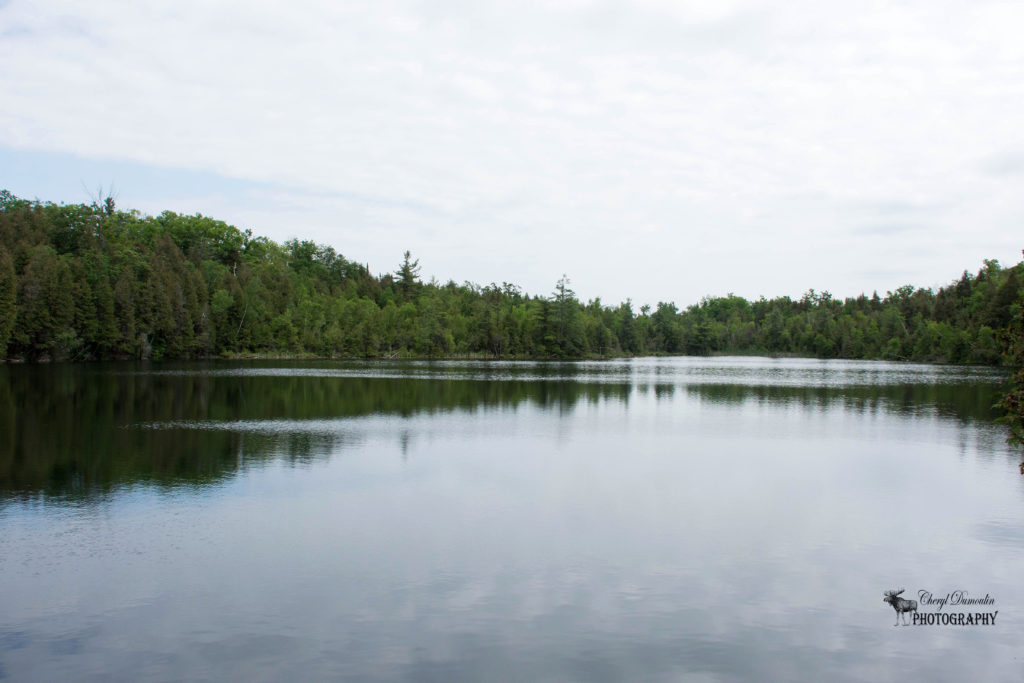 Crawford Lake Conservation Area • Cheryl Dumoulin Photography
