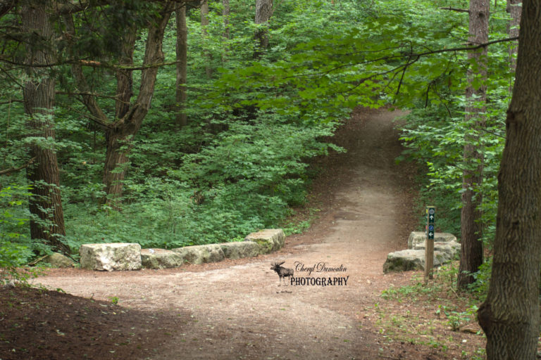 Huron Natural Area • Cheryl Dumoulin Photography