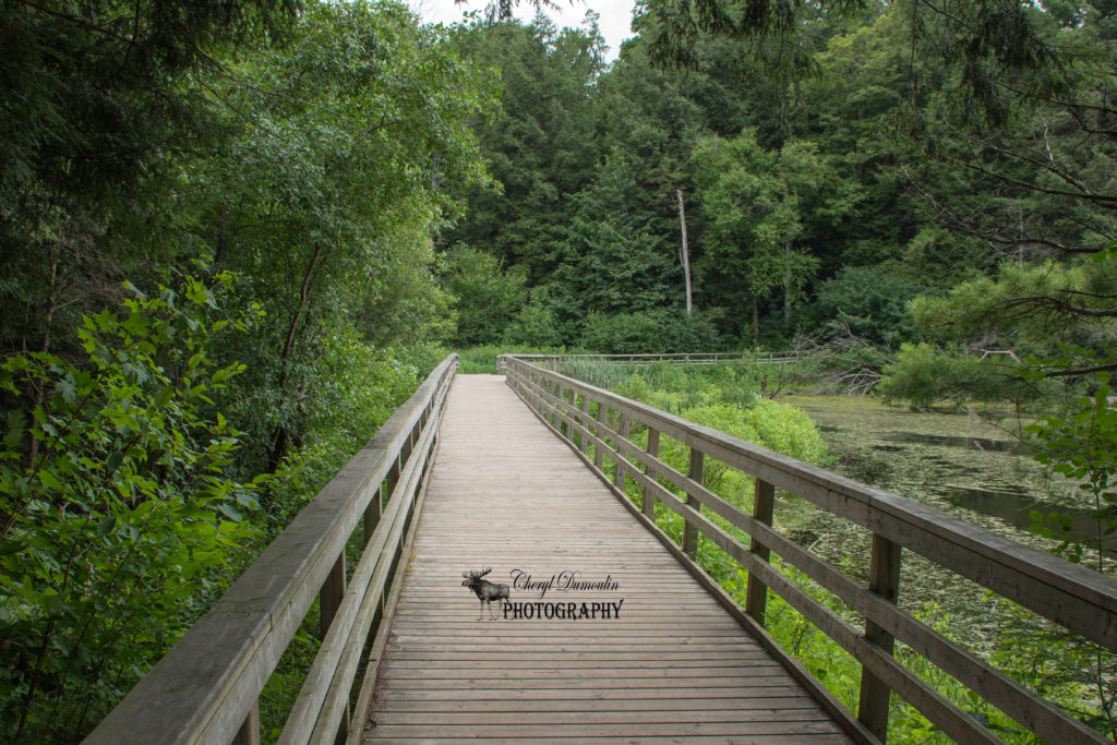 Huron Natural Area • Cheryl Dumoulin Photography
